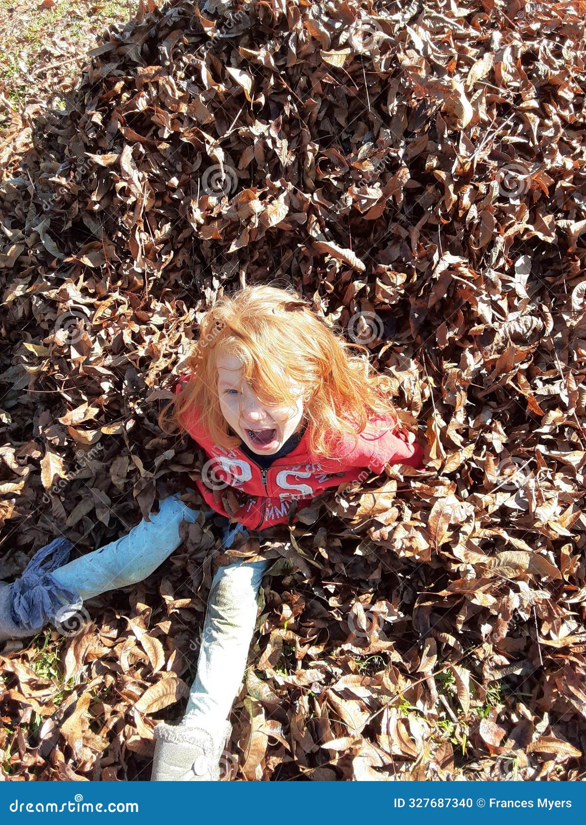 Little Girl Playing Outside in a Pile of Leafs. Stock Photo - Image of ...