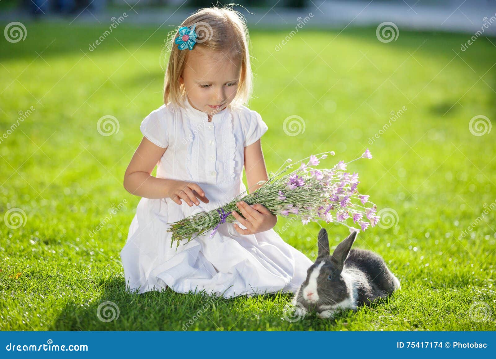Little Girl Playing with Rabbit Stock Photo - Image of bunny, love ...