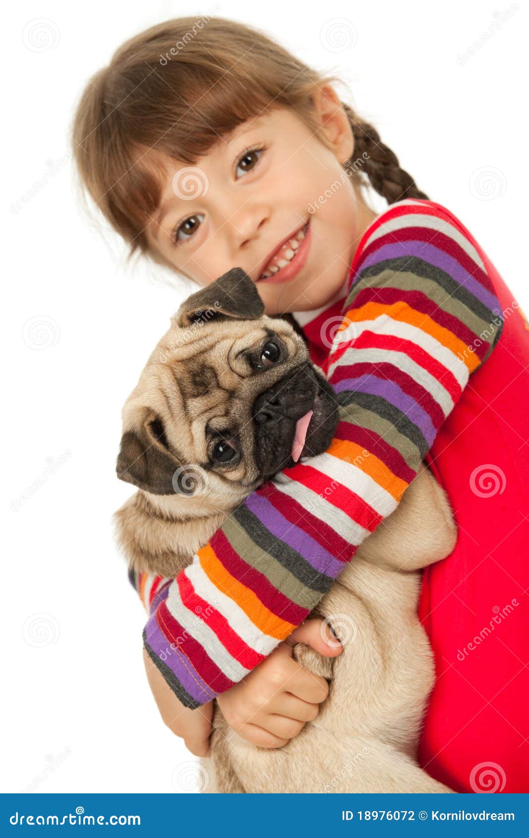 Little Girl and the Pug-dog Stock Photo - Image of cheerful, dress ...
