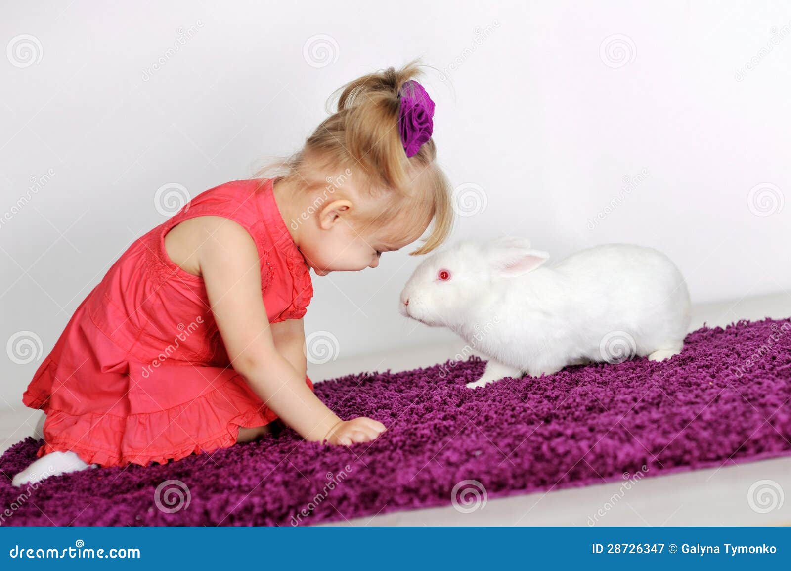 Little girl and rabbit stock image. Image of cheerful - 28726347