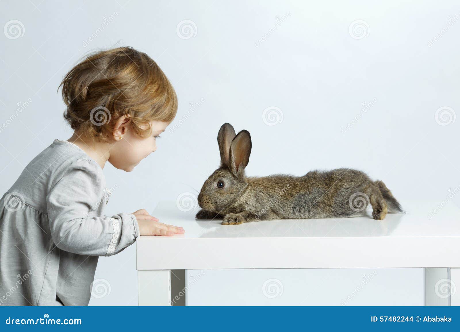 Little Girl with Rabbit on White Stock Photo - Image of bunny, friend ...