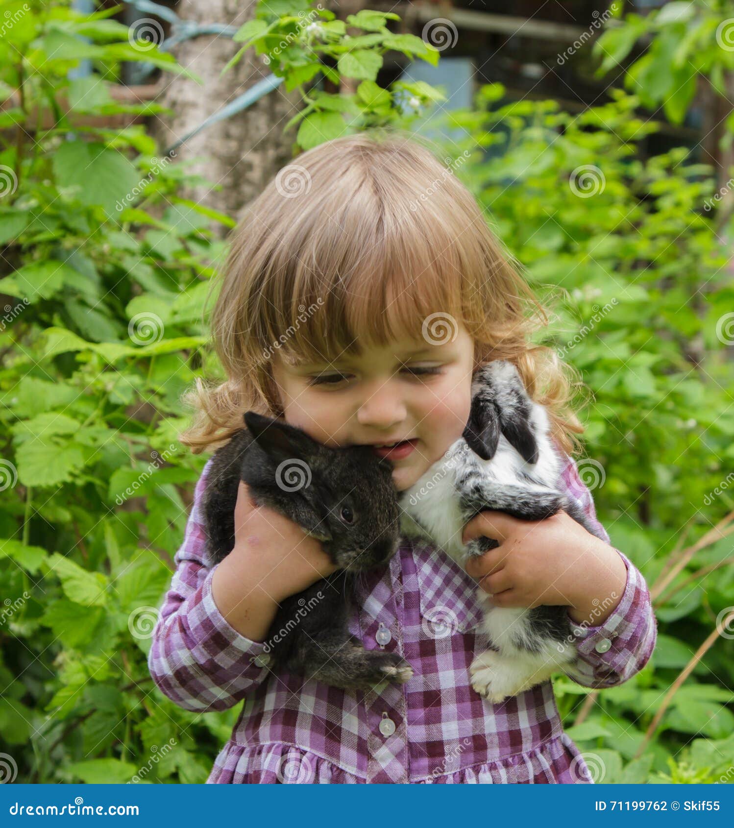 Little girl and rabbits stock photo. Image of happiness - 71199762