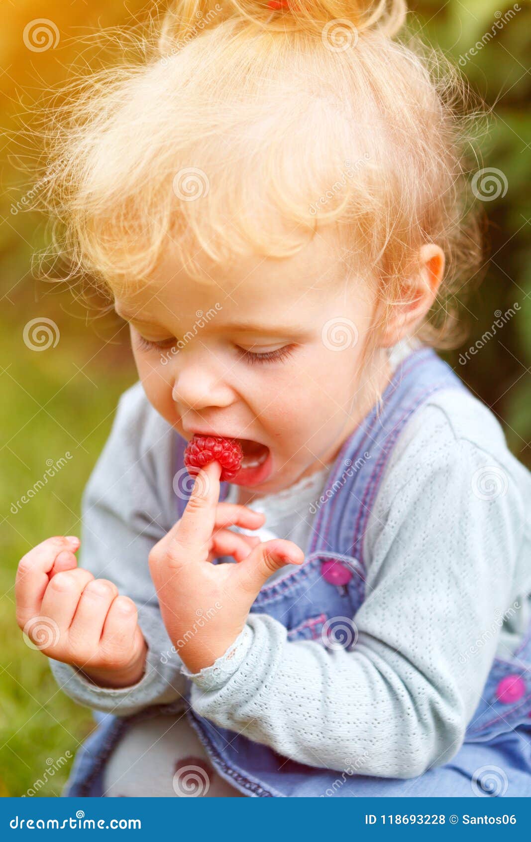 Little Girl with Raspberry on Fingers Stock Photo - Image of natural ...