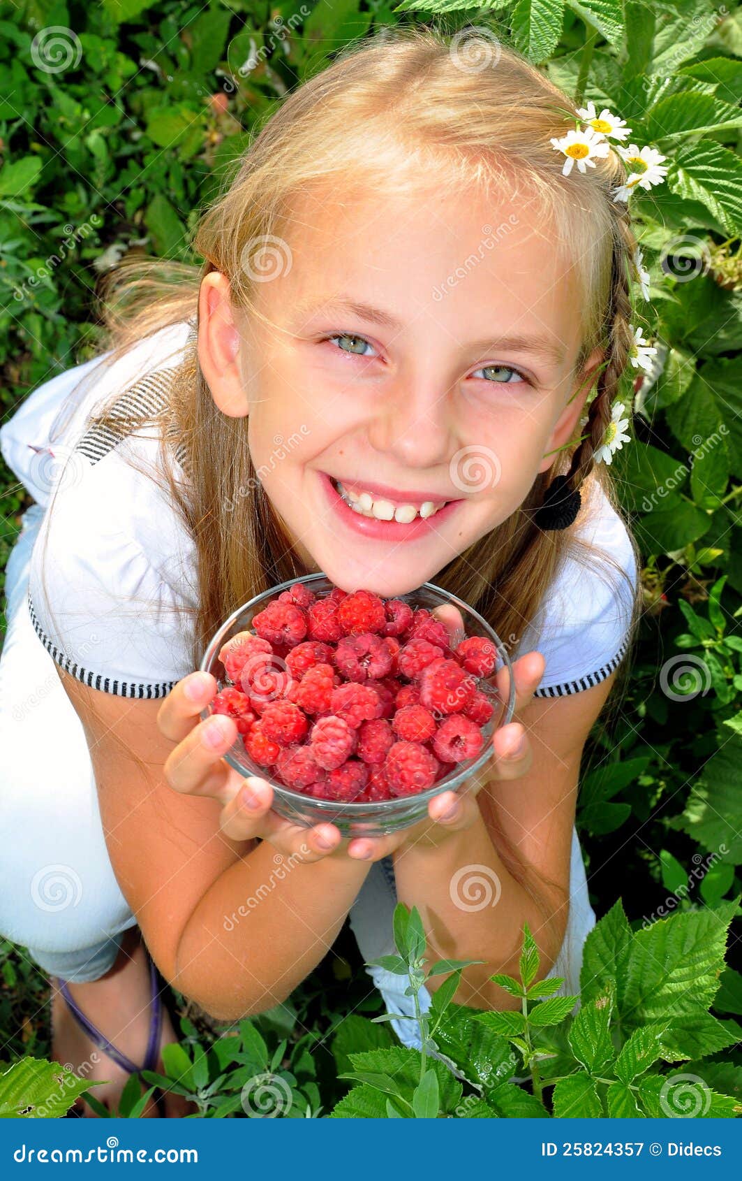 Little girl with raspberry stock image. Image of light - 25824357