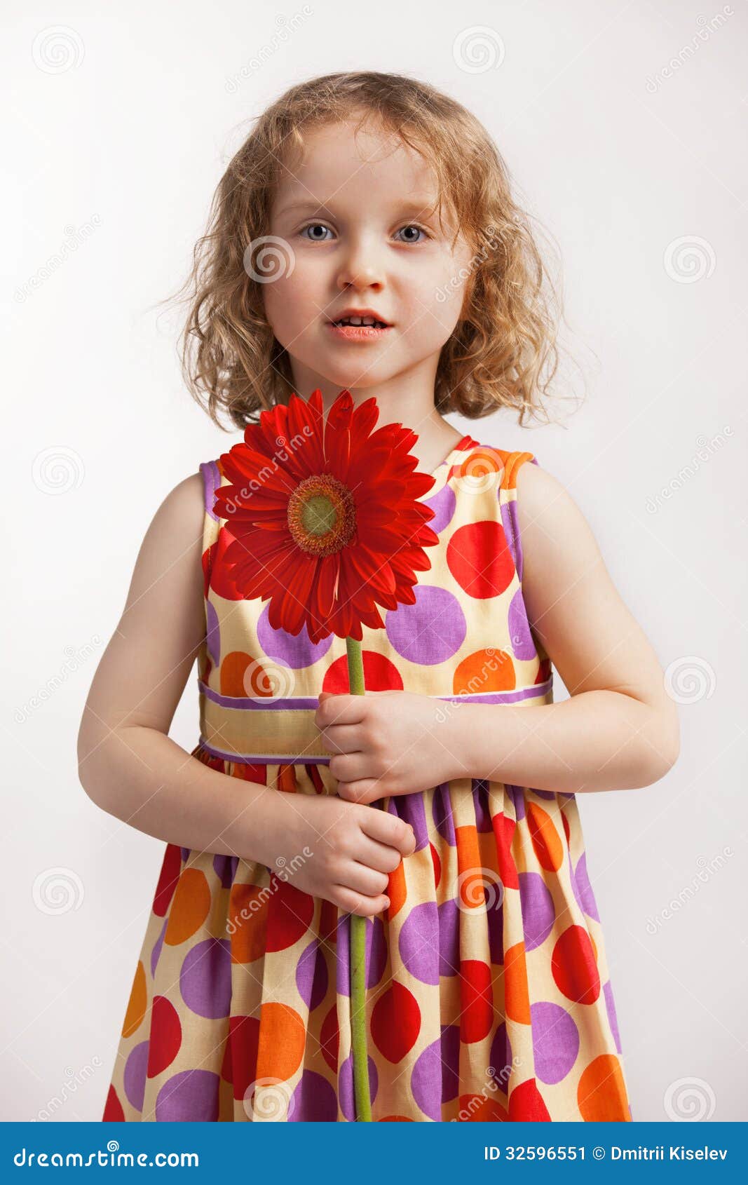 Little Girl with a Red Flower Stock Image - Image of cissy, delight ...