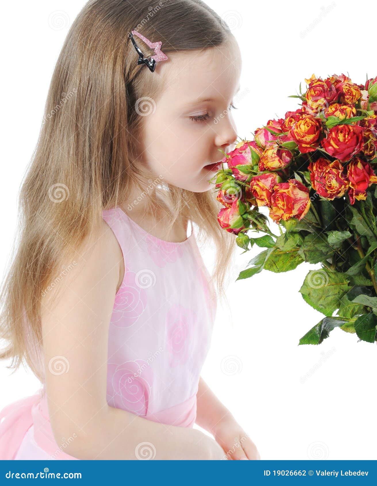 Little girl with a rose. stock photo. Image of child - 19026662