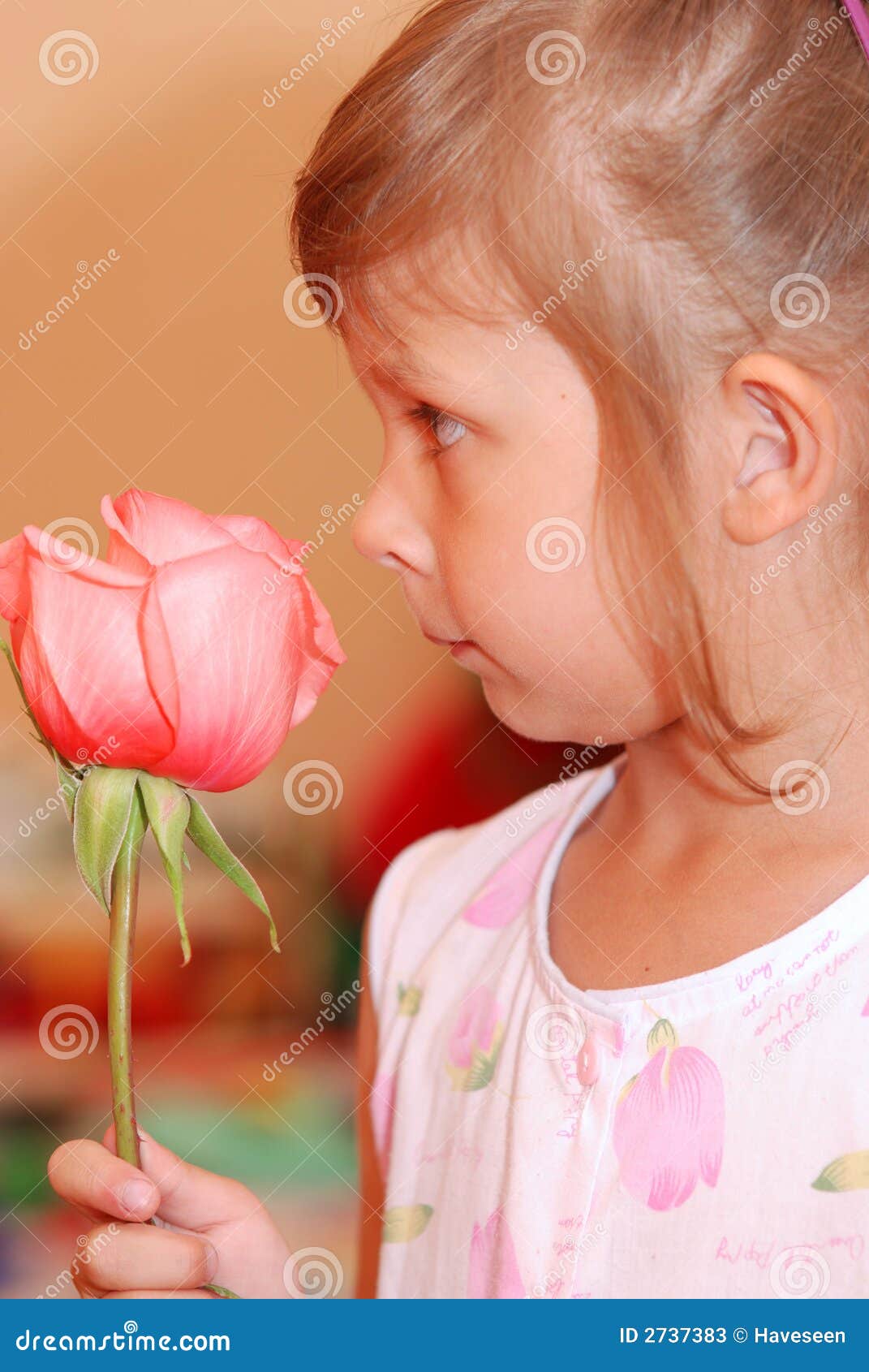 Little girl with rose stock image. Image of child, beauty - 2737383