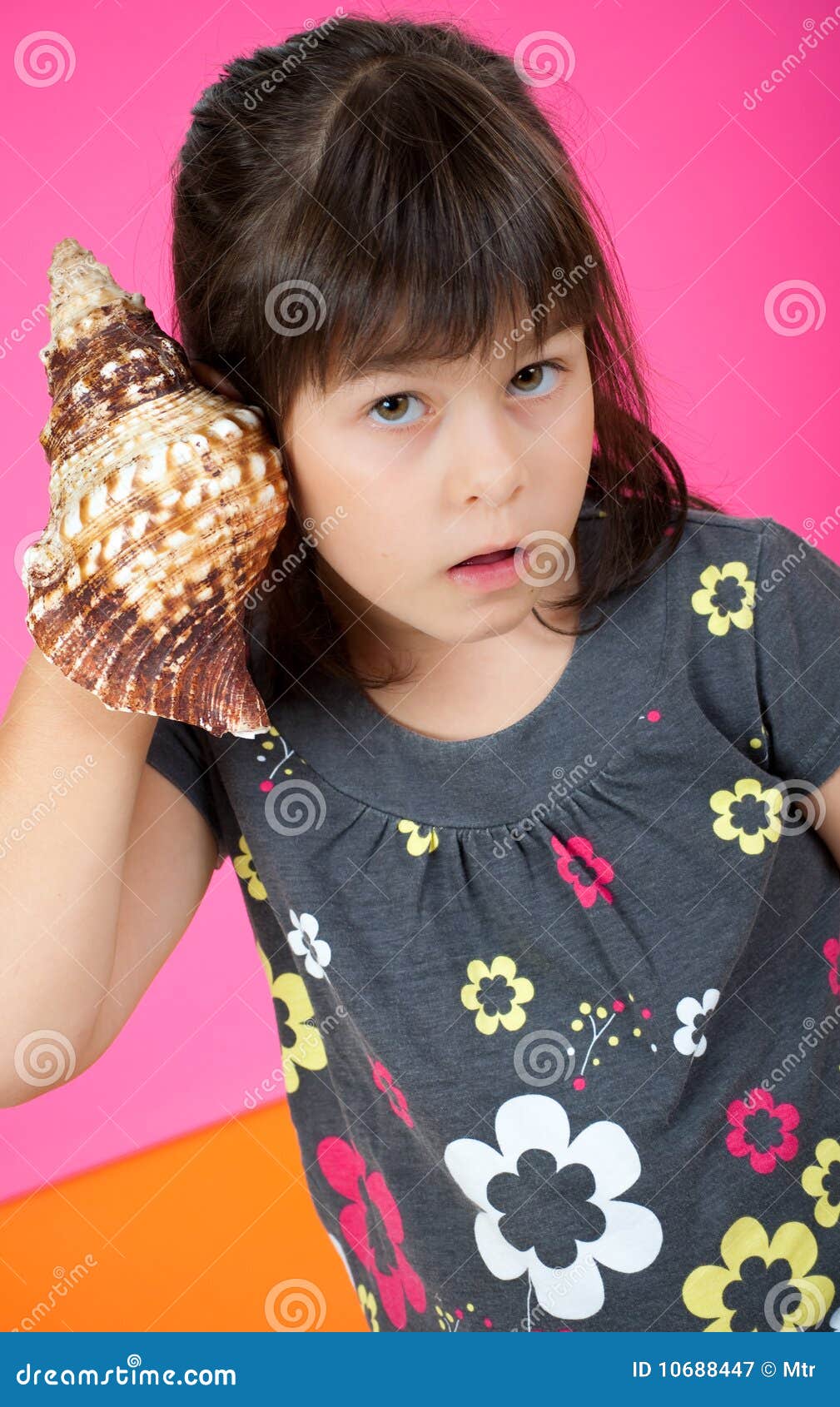 Little girl with a shell stock image. Image of caucasian - 10688447