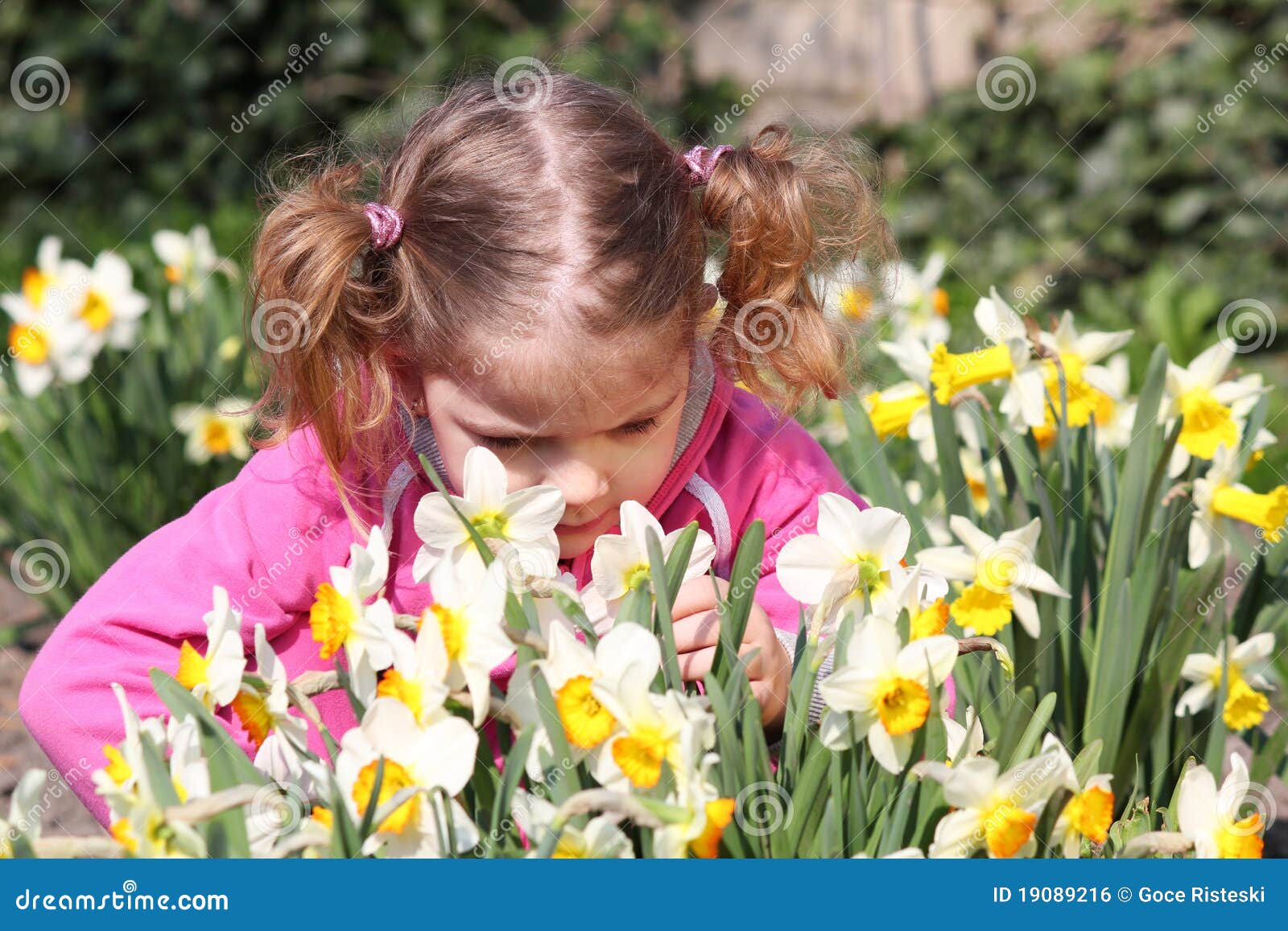Little girl smell flower stock photo. Image of sweet - 19089216