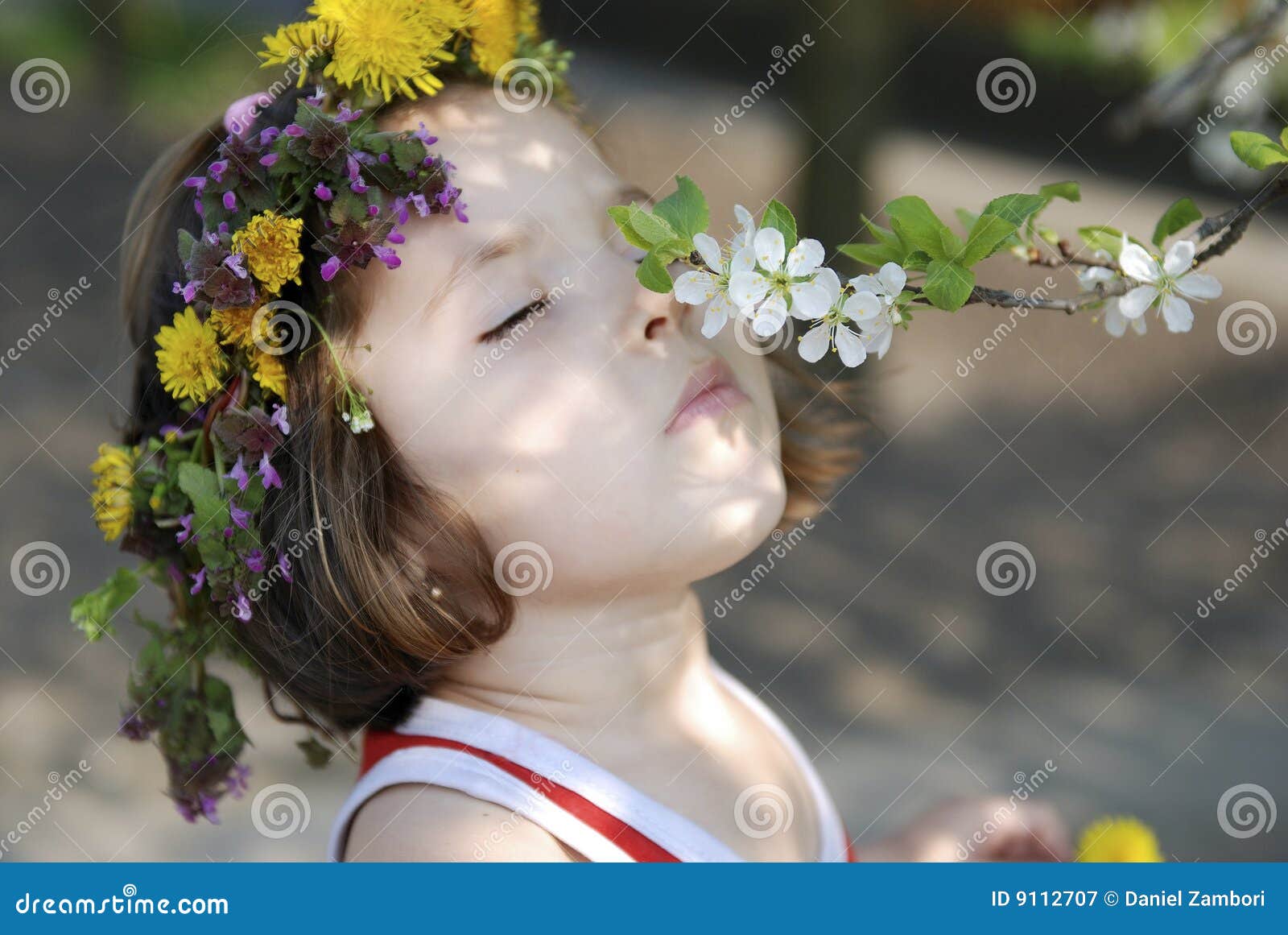 Little Girl Smelling Apple Tree Flowers Stock Image - Image of little ...