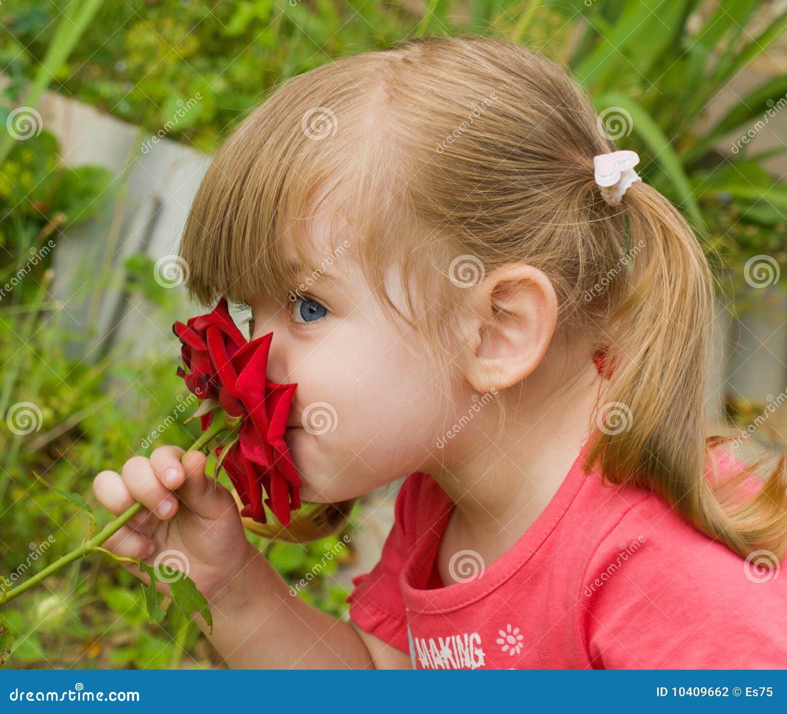 Little girl smelling rose stock photo. Image of childhood - 10409662