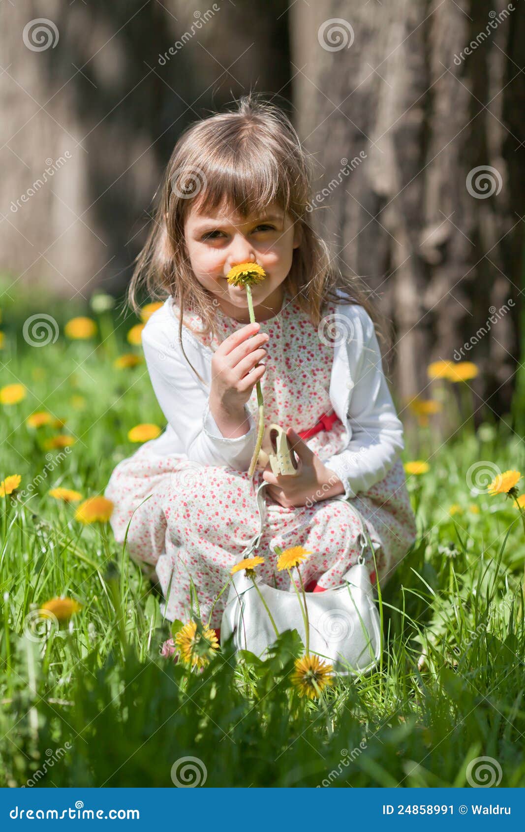 Little Girl Sniffing Flower Stock Image - Image of girl, meadow: 24858991