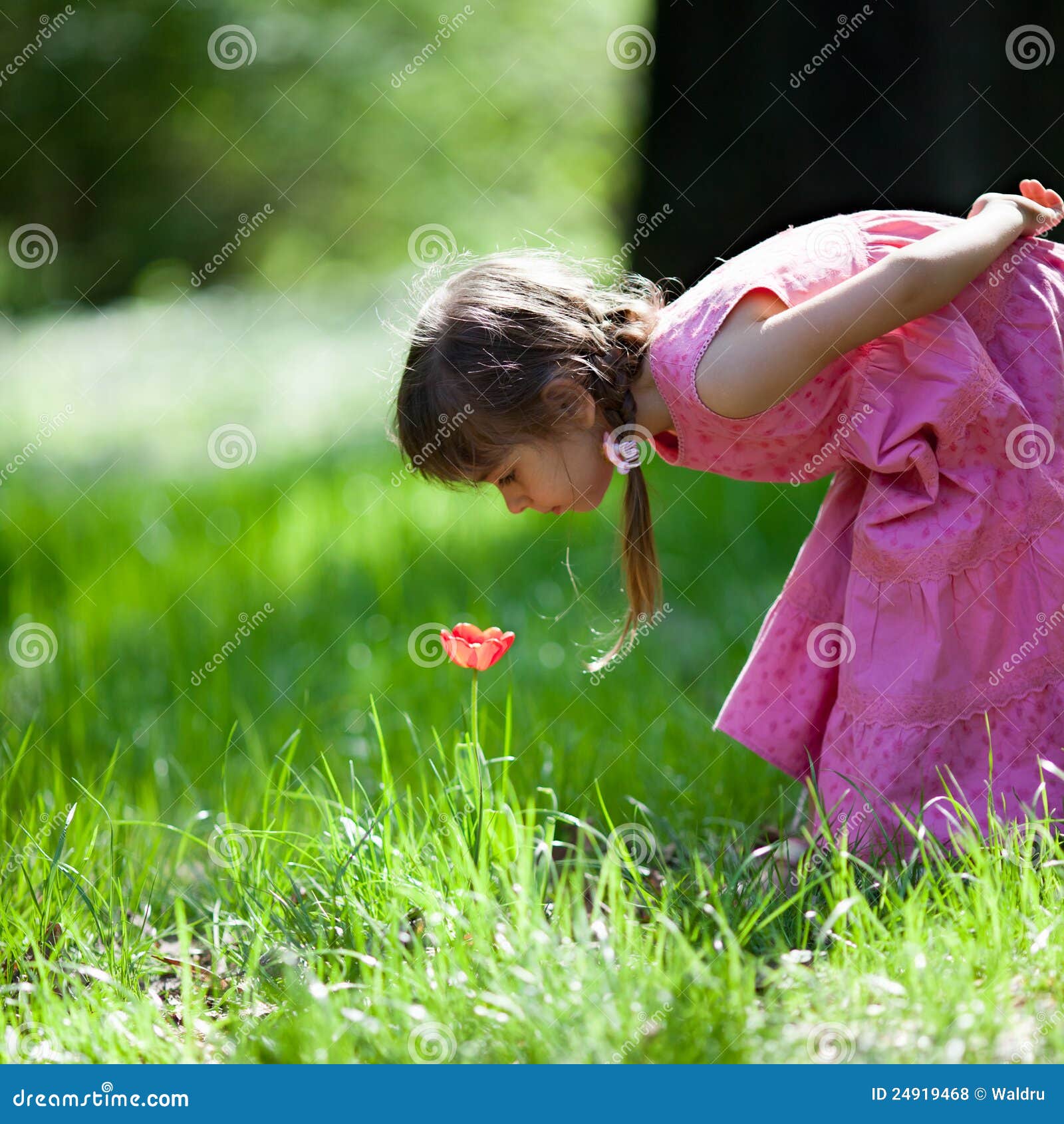 Little Girl Sniffing Flower Stock Photo - Image of freedom, life: 24919468