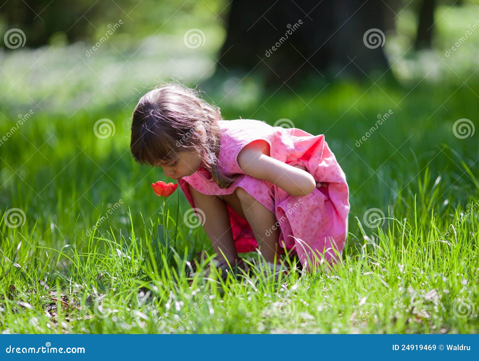 Little Girl Sniffing Flower Stock Image - Image of emotion, outside ...