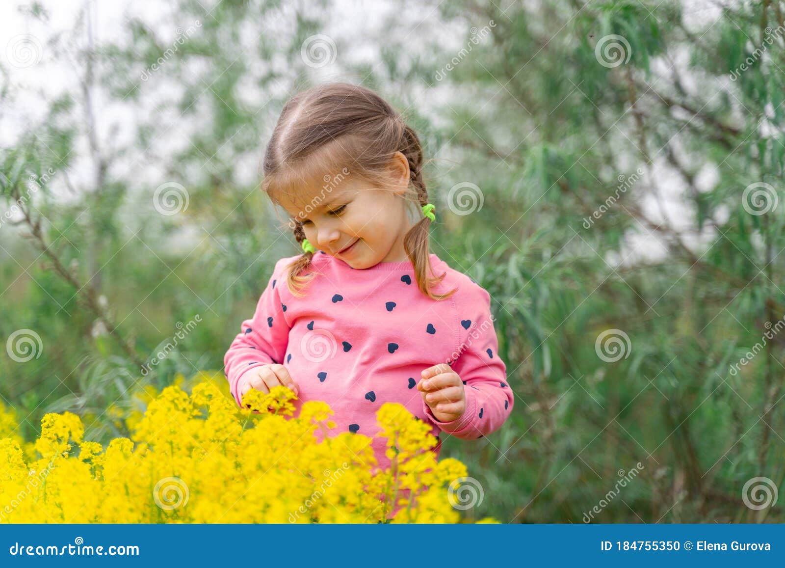 Little Girl Sniffs the Flowers Stock Photo - Image of people, petal ...
