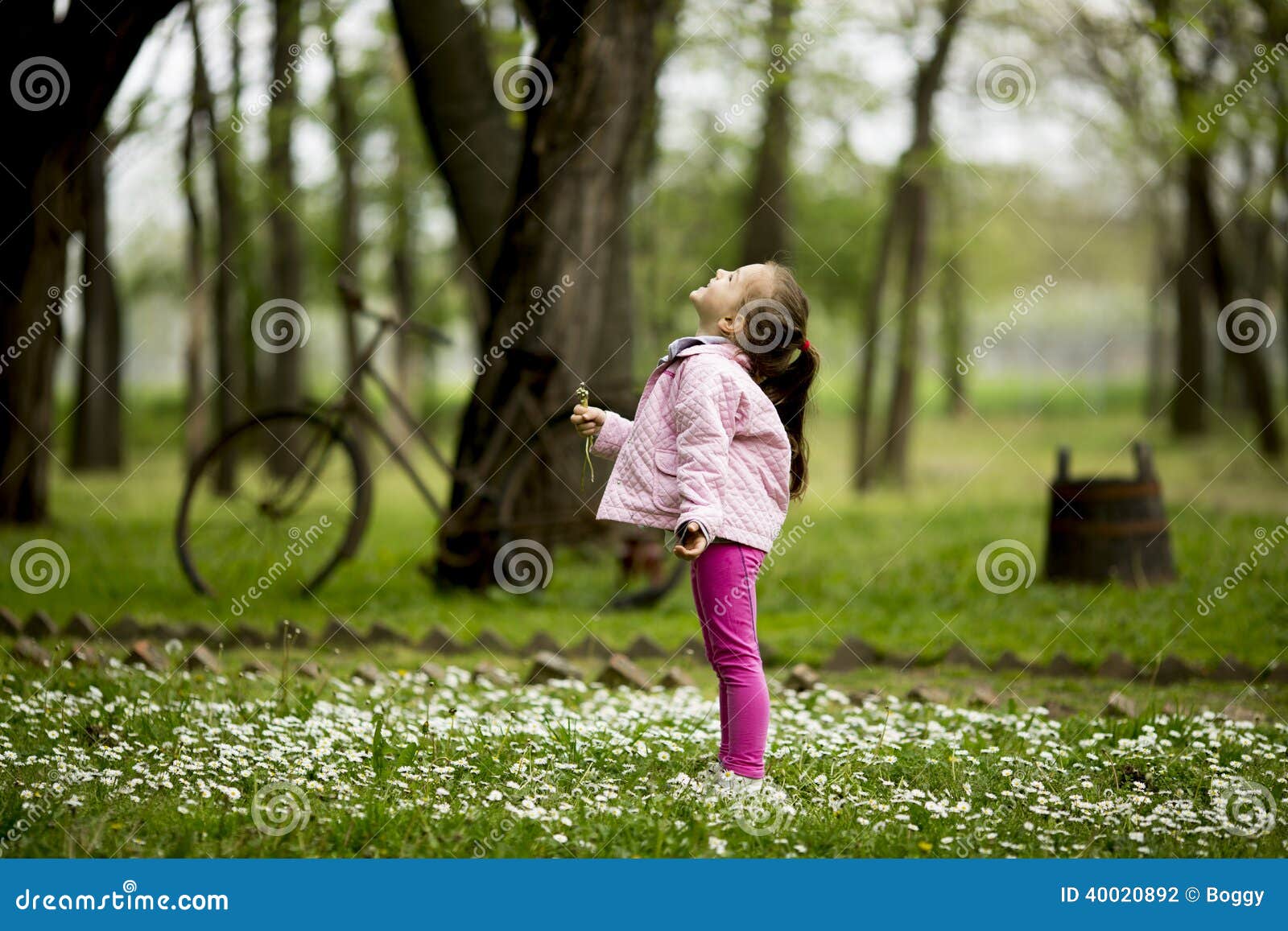 Little Girl in Spring Field Stock Photo - Image of green, fashion: 40020892