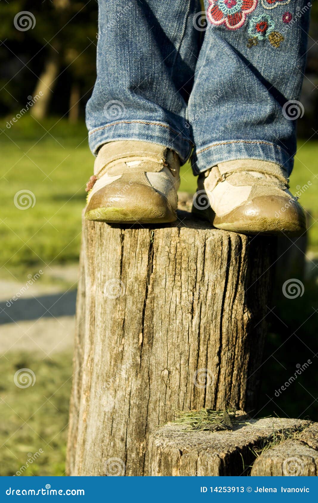 Little Girl Standing on Stump Stock Image - Image of elementary, scene ...