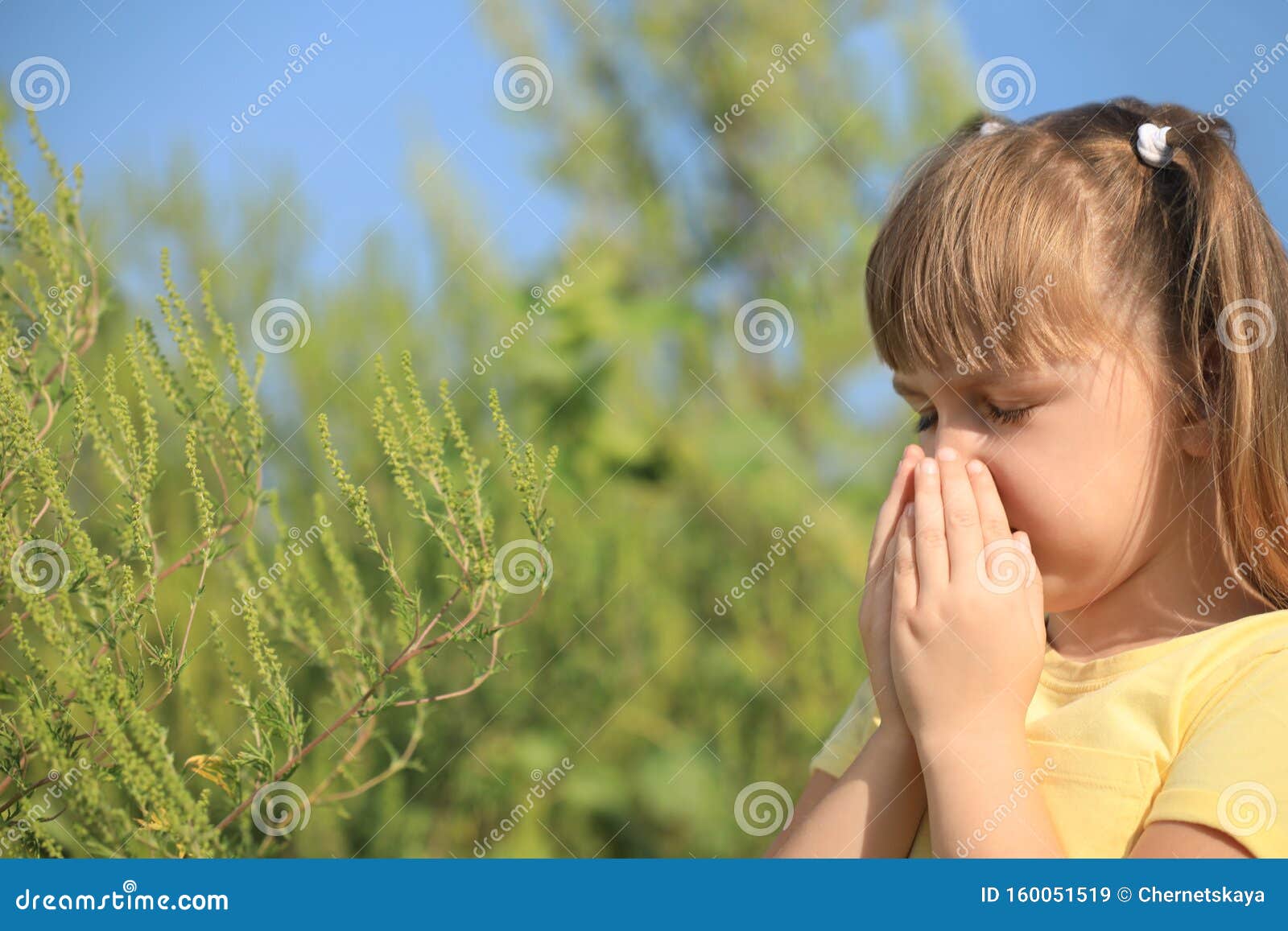 Little Girl Suffering from Ragweed Allergy Stock Image - Image of ...
