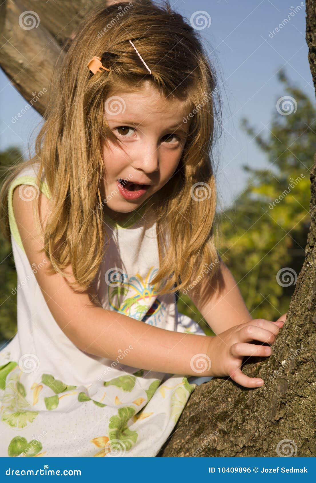 Little girl on the tree stock photo. Image of grimace - 10409896