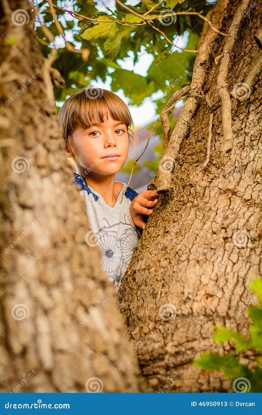 Little girl on the tree stock image. Image of little - 46950913