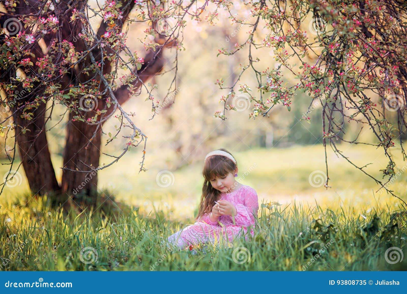 Little Girl Under Blooming Apple Tree Stock Image - Image of japan ...