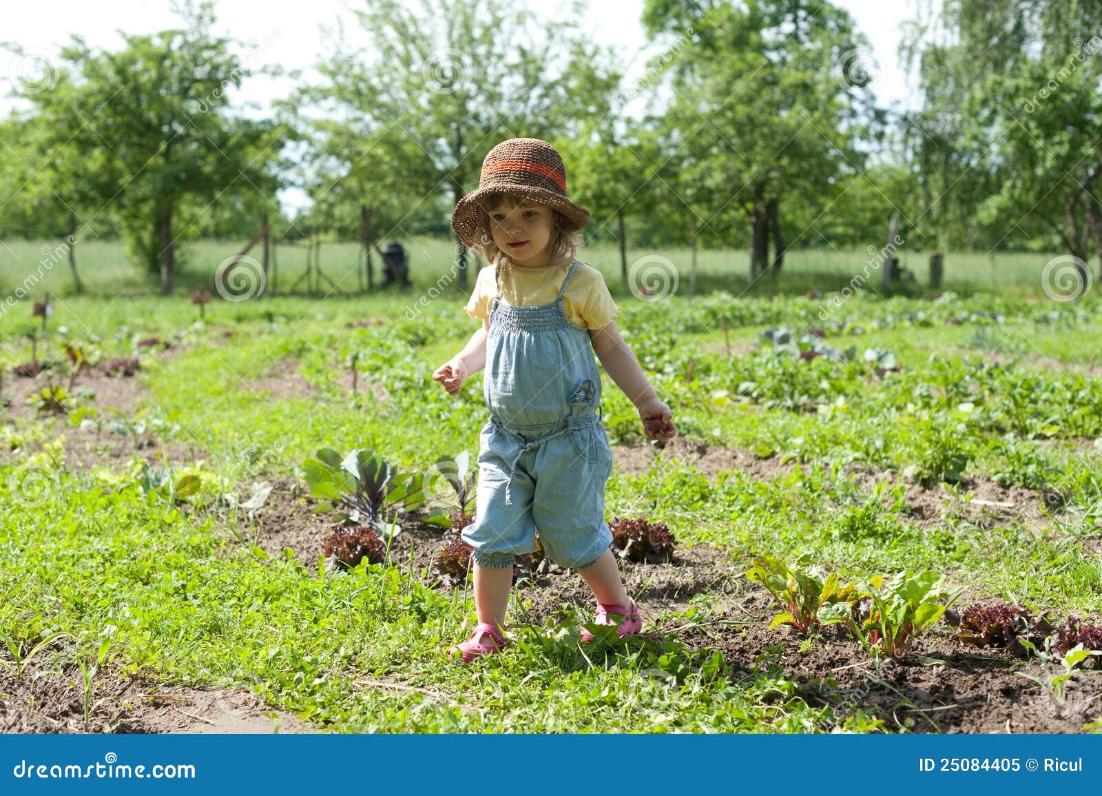 Little Girl in Vegetable Patch Stock Image - Image of summer, green ...