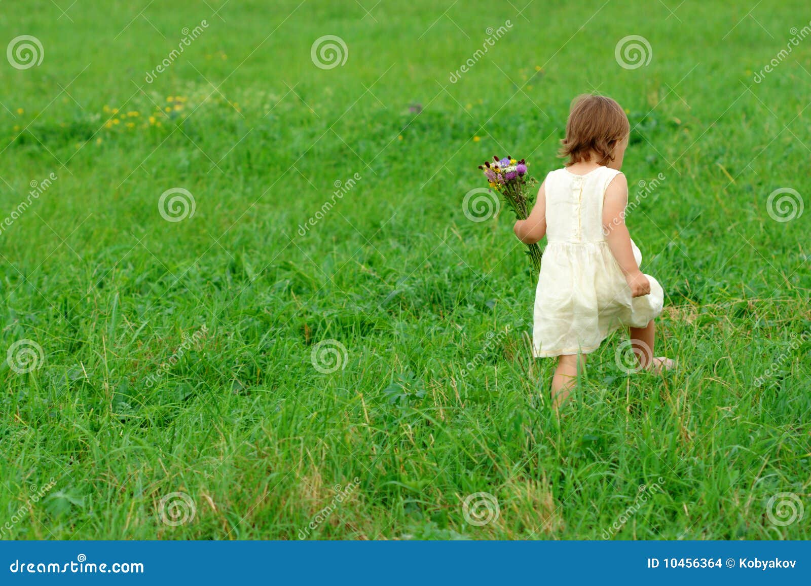 Little Girl Walk on Green Field Stock Photo - Image of green, activity ...
