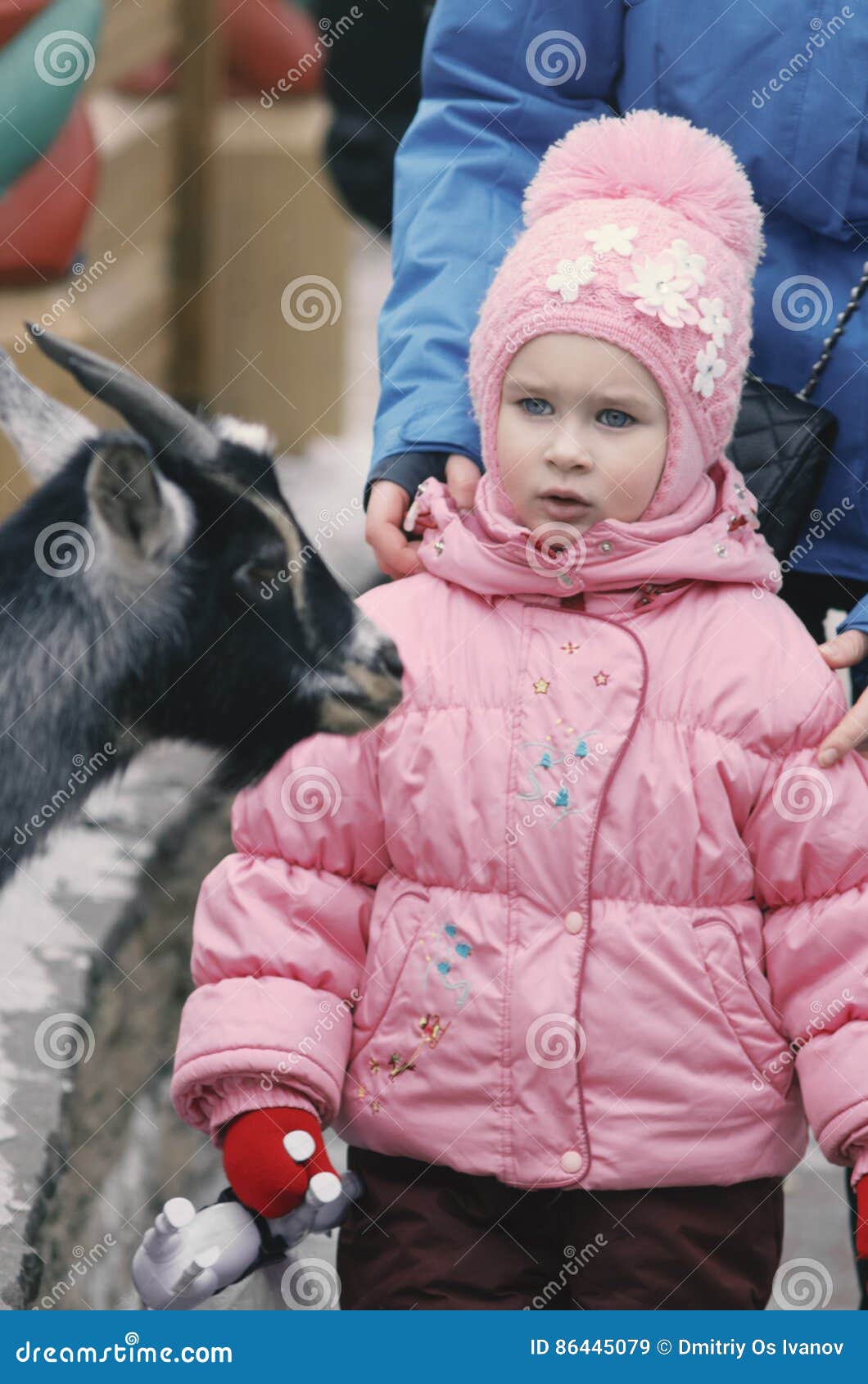 The Little Girl Watchfully and almost Scaredly Looks Stock Image ...