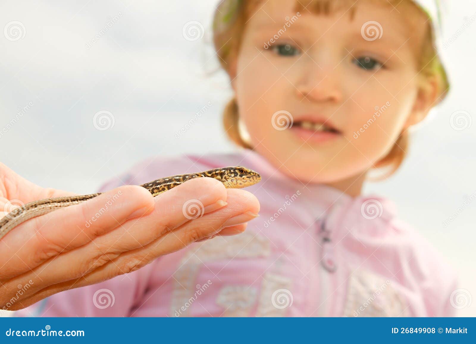Little Girl Watching at the Lizard Stock Photo - Image of bewilderment ...