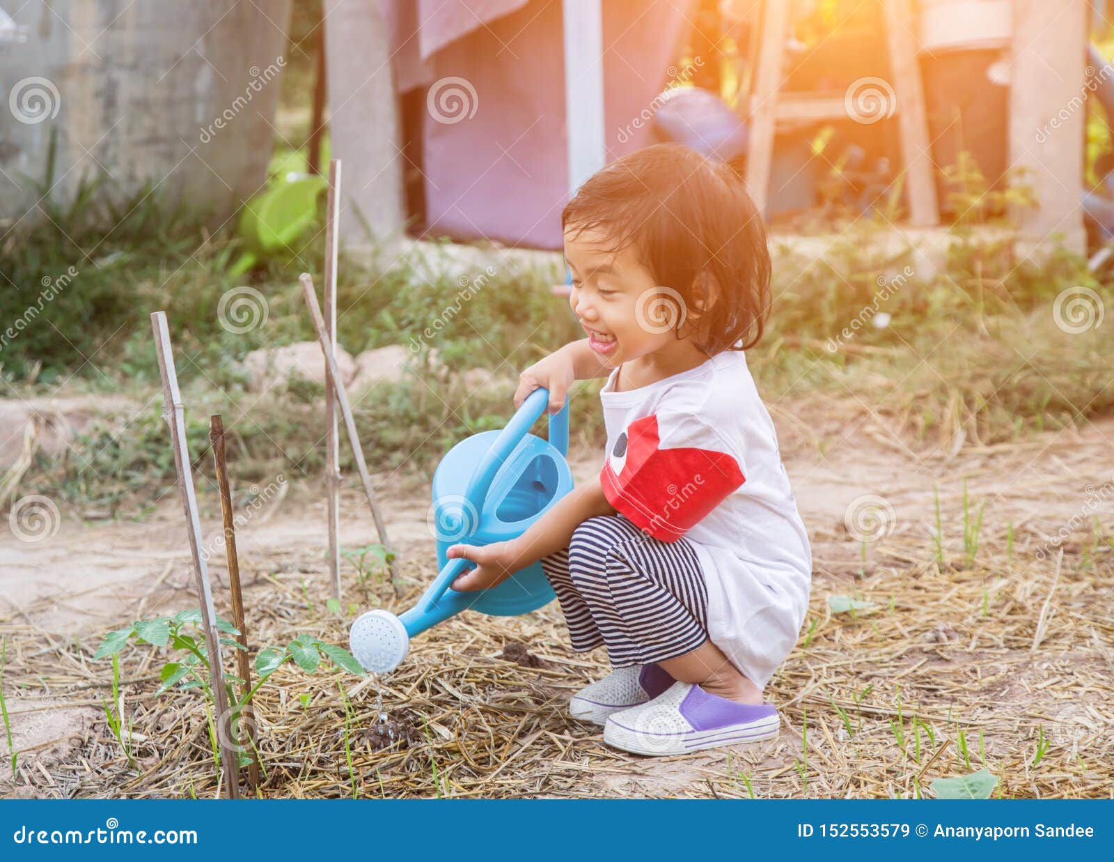 Little Girl Watering Tree with Watering Pot Stock Image - Image of ...