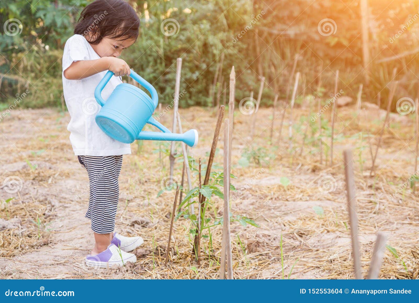 Little Girl Watering Tree with Watering Pot Stock Photo - Image of ...
