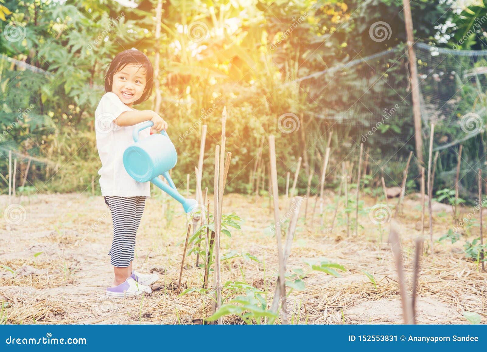 Little Girl Watering Tree with Watering Pot Stock Image - Image of ...