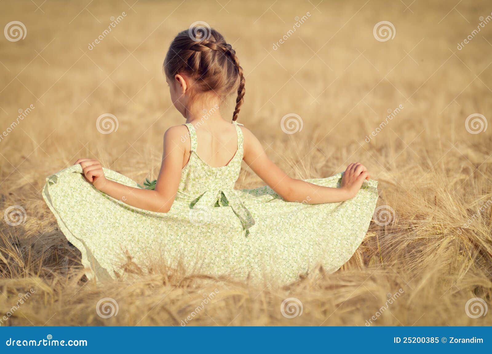 Little girl in wheat field stock image. Image of baby - 25200385