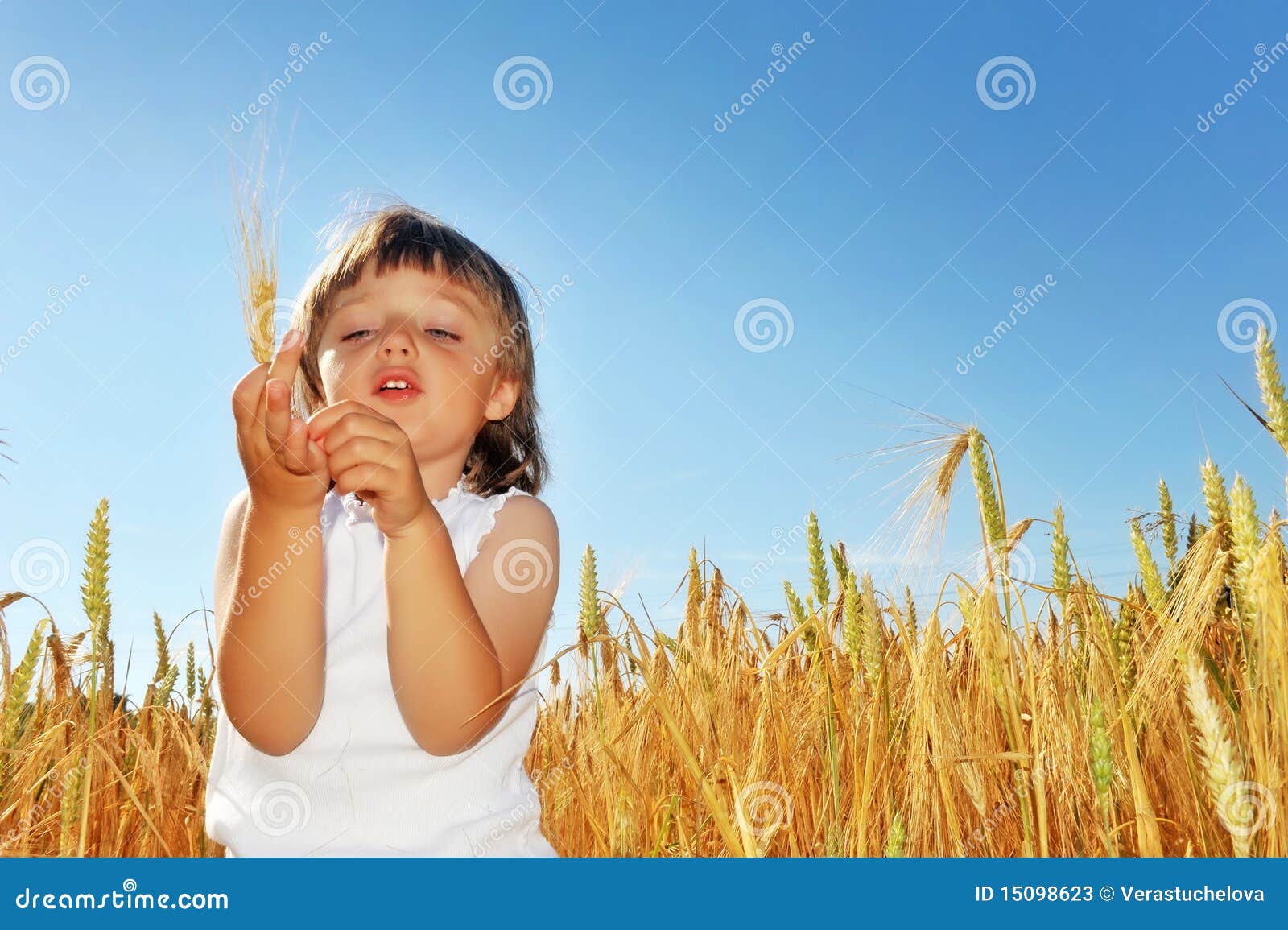 Little Girl on a Wheat Field Holding Wheat Stock Image - Image of kind ...