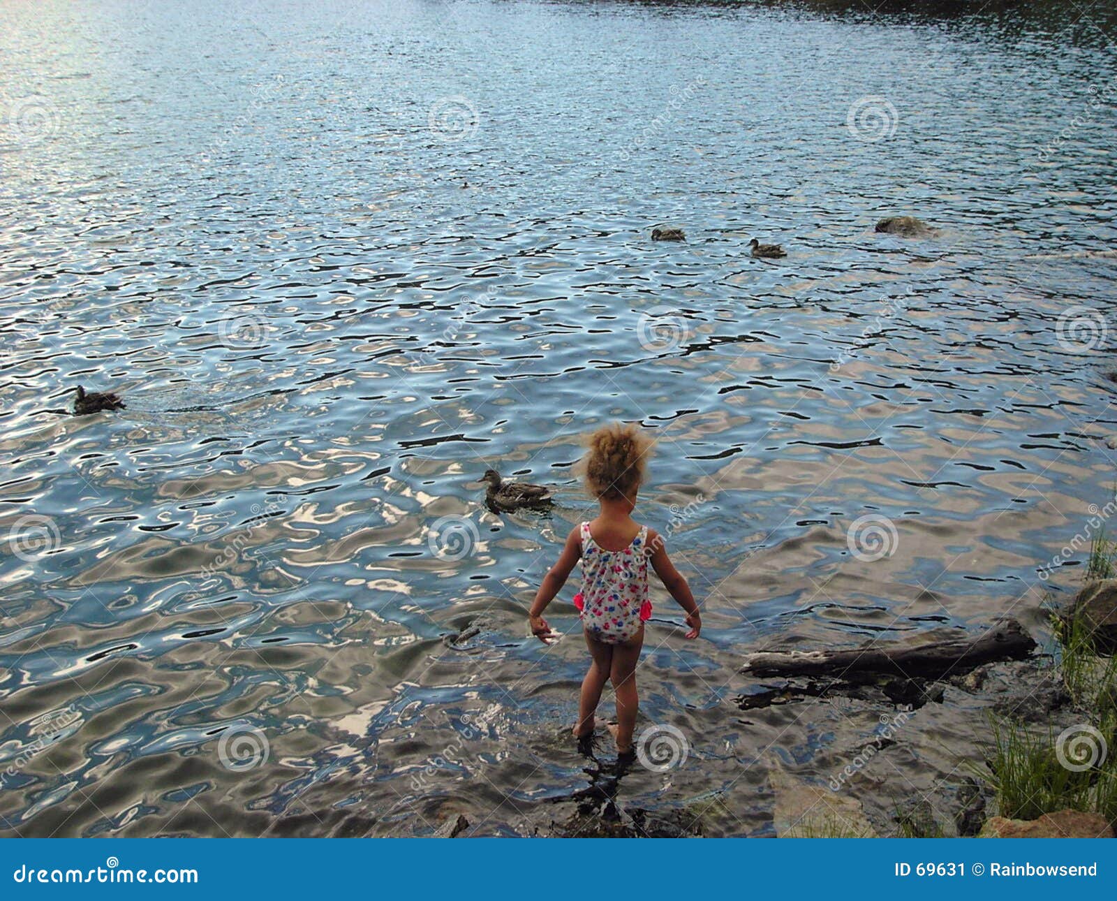 Little girls calling ducks stock image. Image of little - 69631