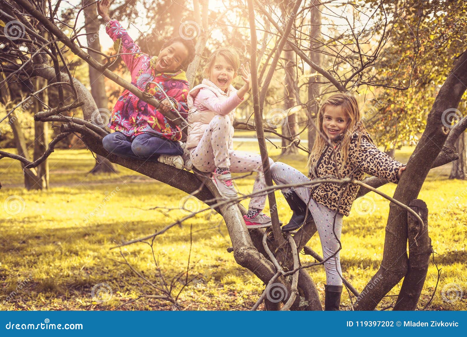 Three Girls in Park Sitting on Tree. Stock Photo - Image of leaf ...