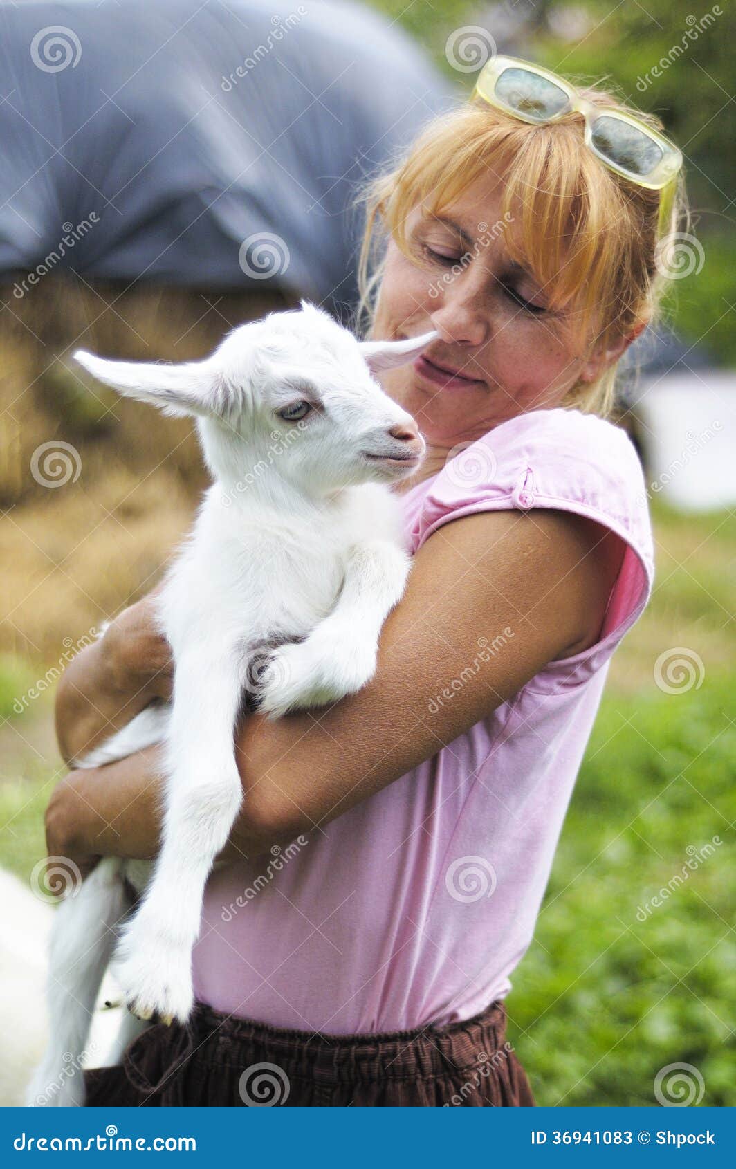 Little Goat in the Hands of Women Stock Image - Image of goat, pasture ...