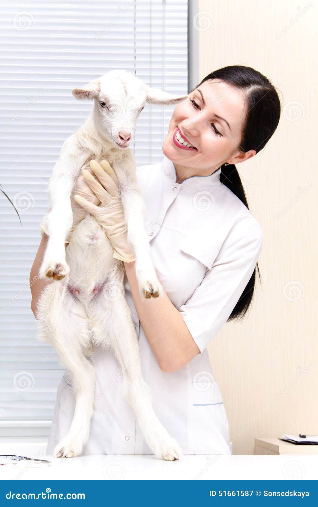 Little goat at the vet stock image. Image of clinic, domestic - 51661587