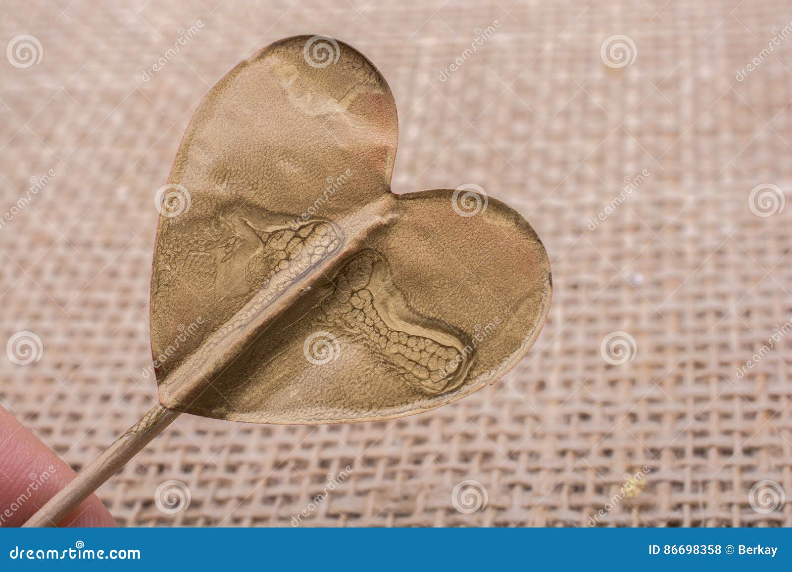 Little Gold Color Heart Shape in Hand Stock Illustration - Illustration ...