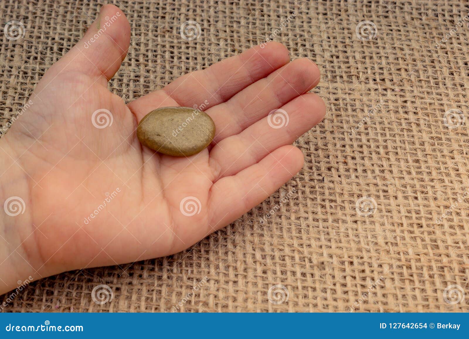 Little Gold Color Pebble in Hand Stock Photo - Image of color, nature ...