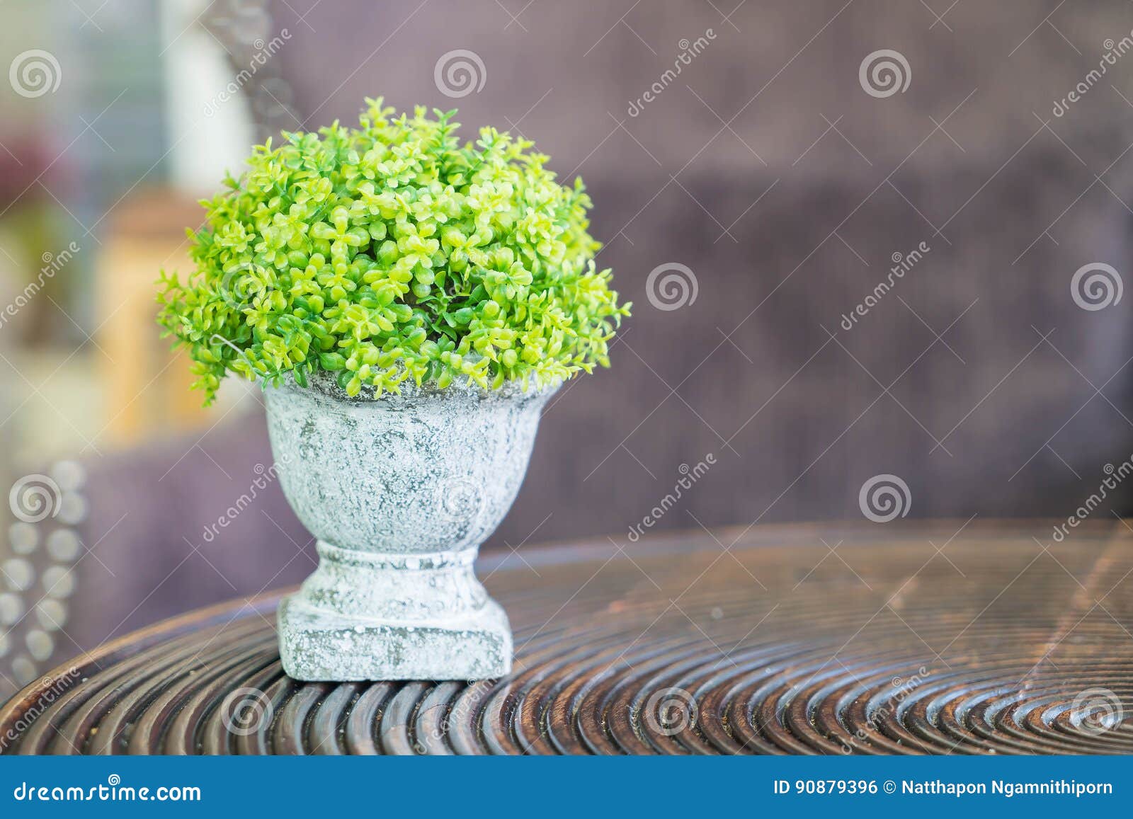 Little Green Tree Pots Decoration Stock Photo - Image of decoration ...