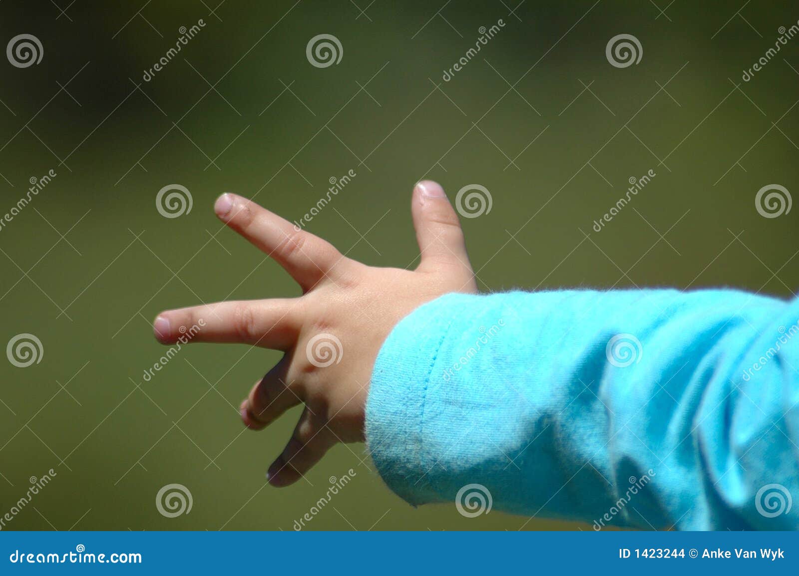 Little hand stock photo. Image of mother, clapping, kiddies - 1423244