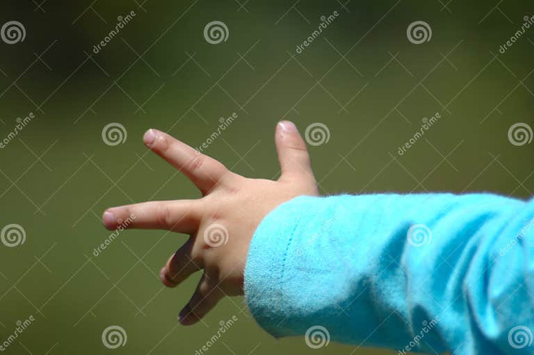 Little hand stock photo. Image of mother, clapping, kiddies - 1423244