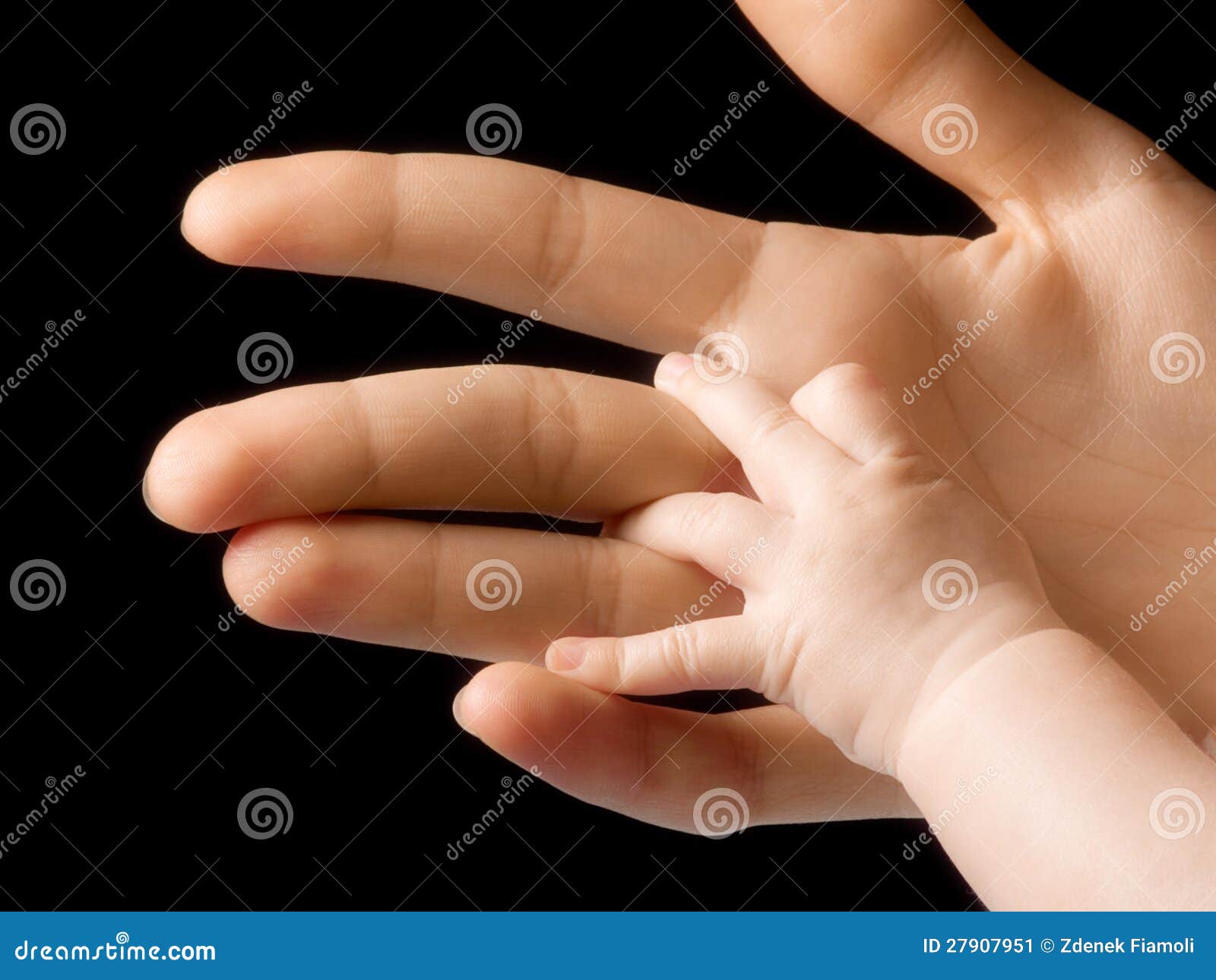 Little hand stock image. Image of infant, holding, baby - 27907951
