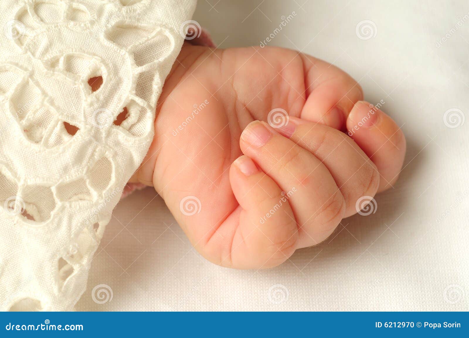 Little Hand Picture. Image: 6212970