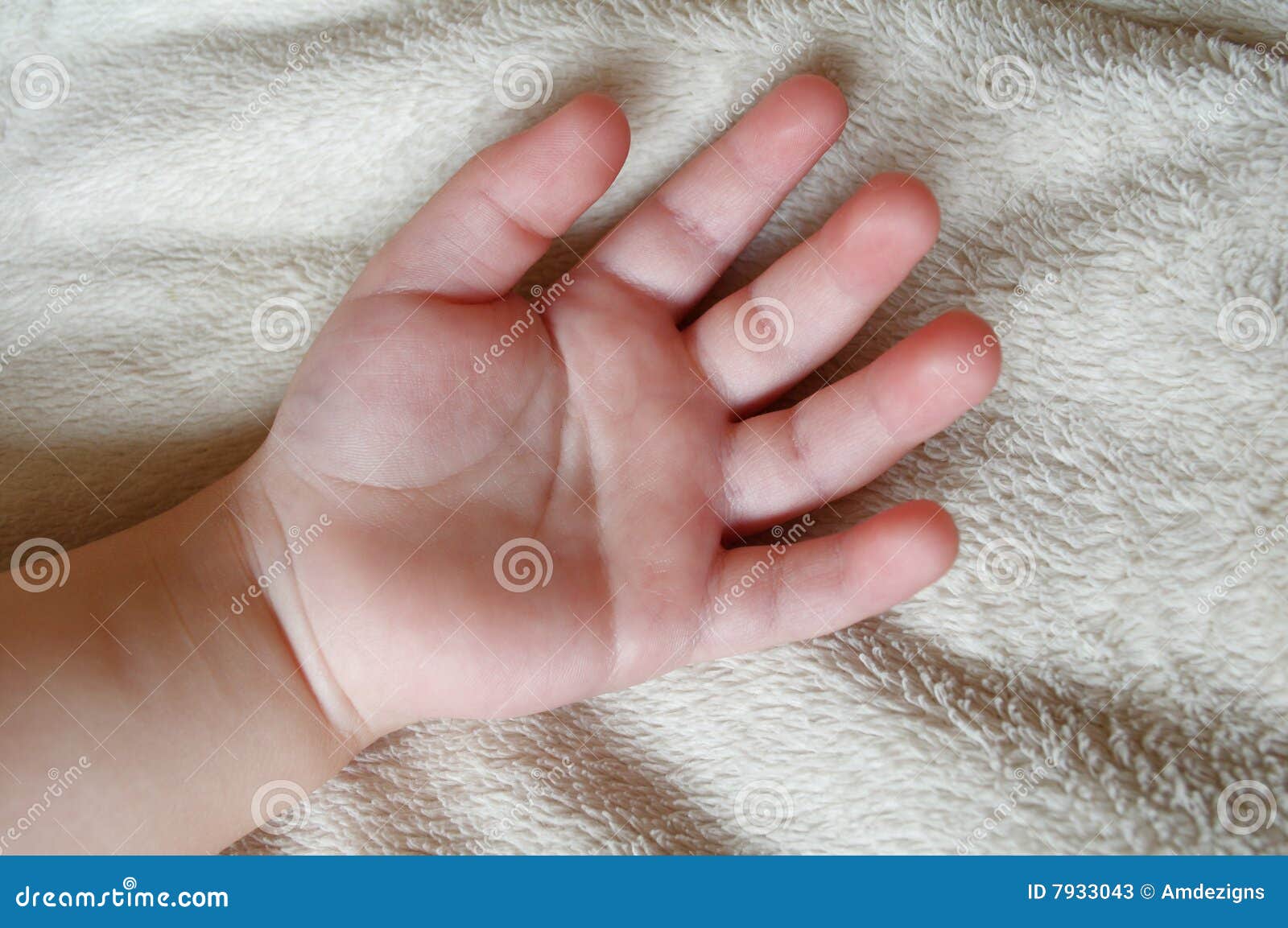 Little hand stock image. Image of holding, adopting, fingers - 7933043