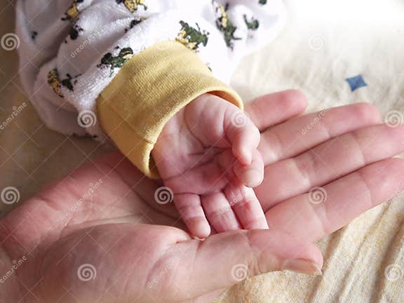 Little hand, big hand stock image. Image of social, mother - 37243