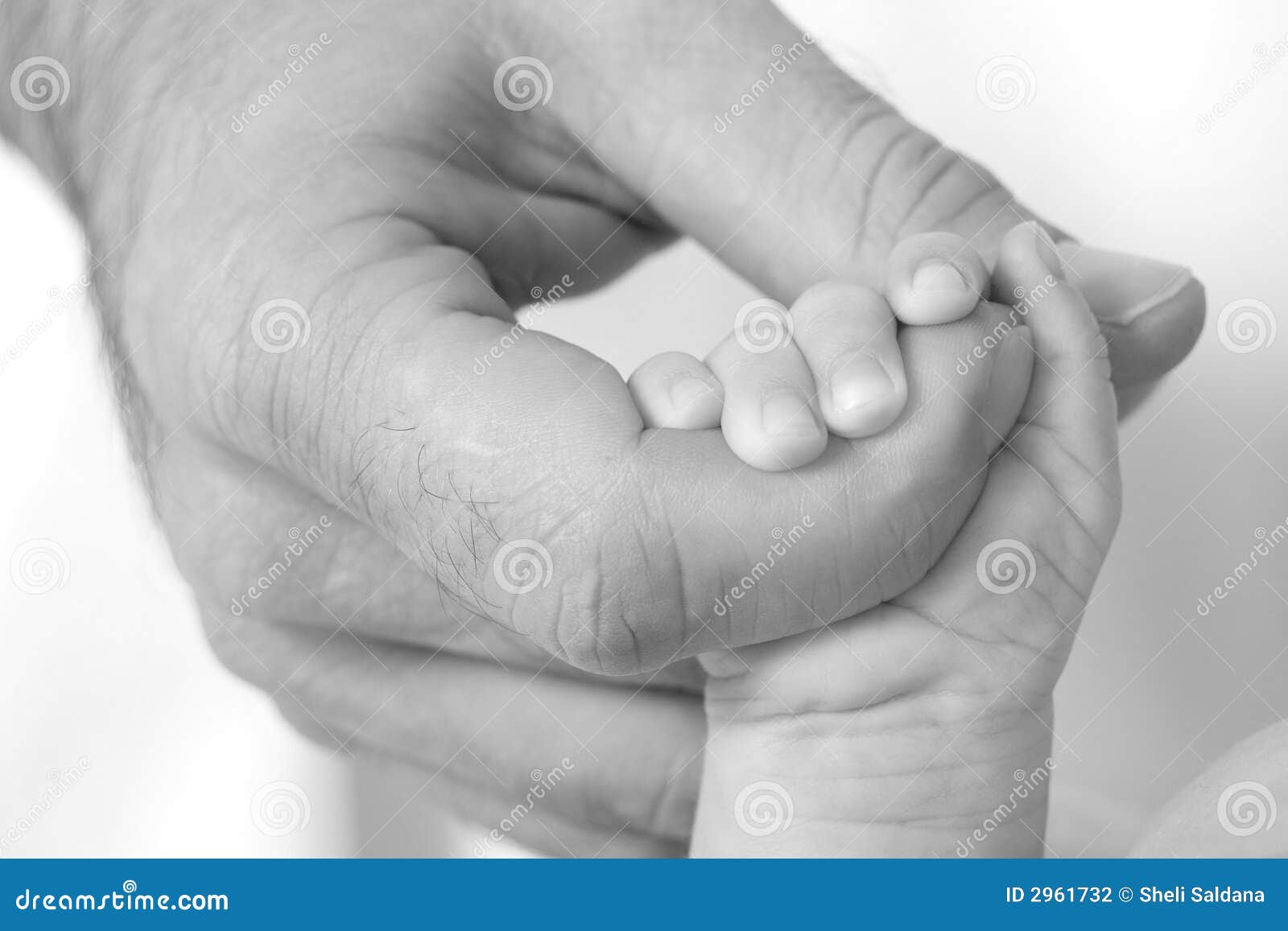 Little Hand in Big Hand BW stock photo. Image of connection - 2961732