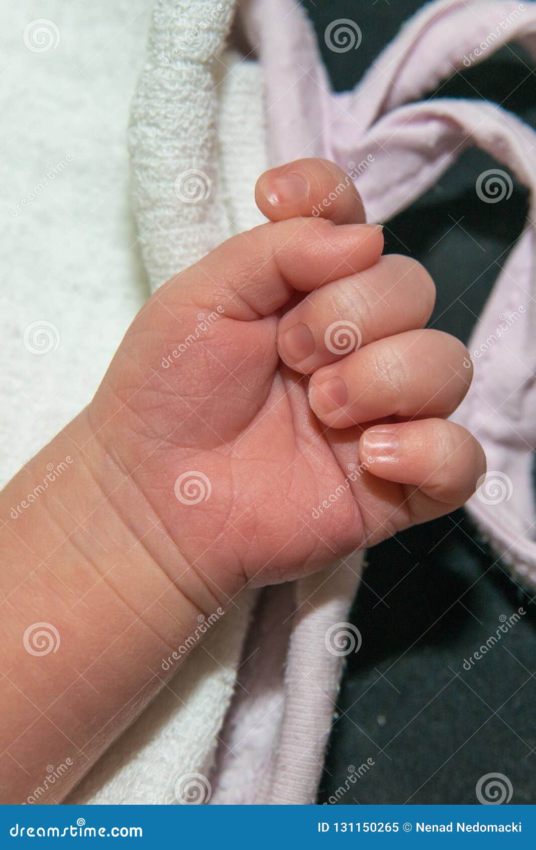 Little Hand of Newborn Baby Stock Image - Image of language, group ...