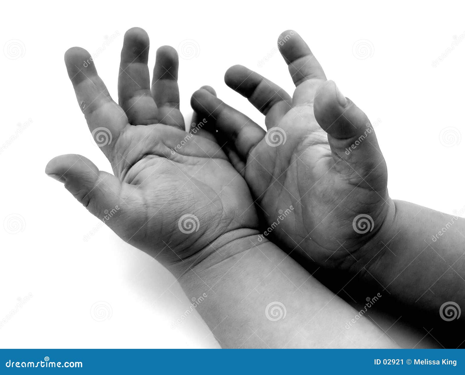 Little Hands stock image. Image of arms, details, black, boys - 2921
